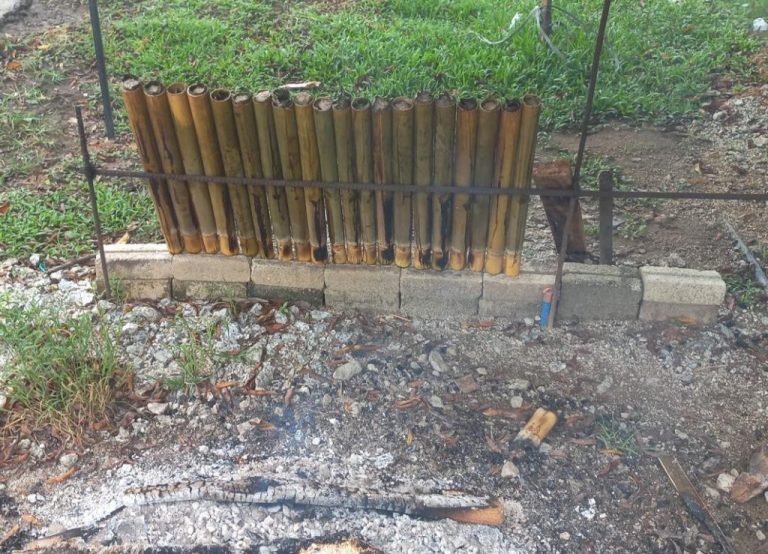 Cooking rice in a bamboo - Bushguide 101