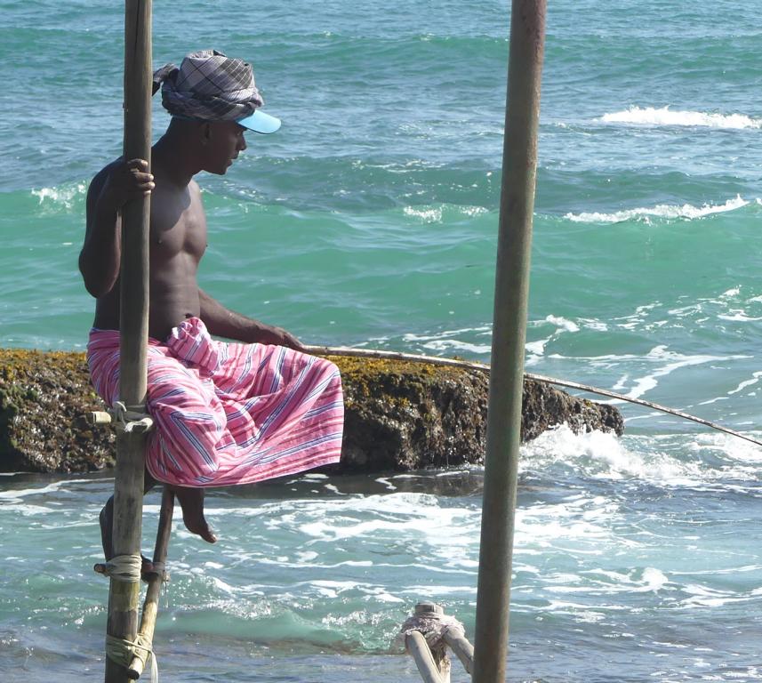 Stilt fishing in Sri Lanka - Bushguide 101