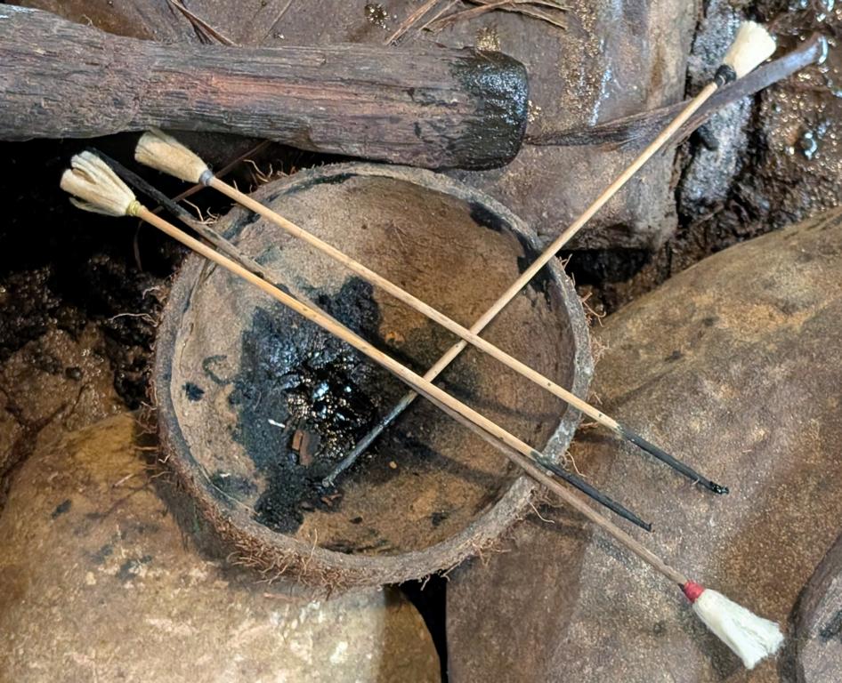 Borneo Blowpipe Darts: Penan Traditional Poisoned Designs, Materials ...